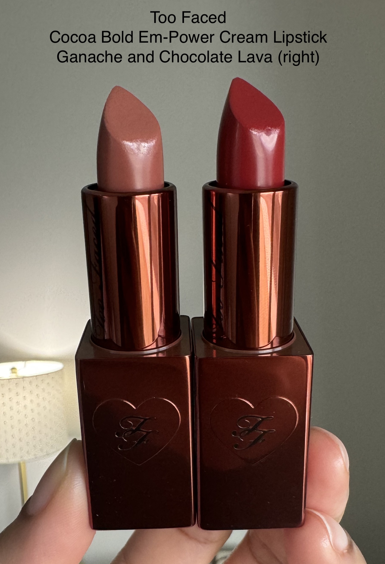 Too Faced Cocoa Bold Lipsticks (Ganache and Chocolate Lava Swatches ...
